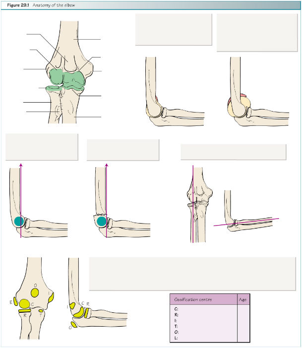 Morris: Minor Injury and Minor Illness