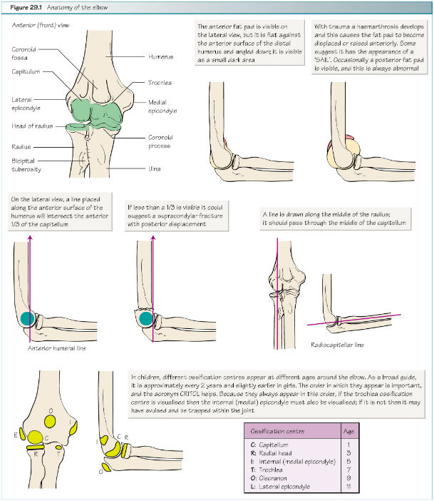 Morris: Minor Injury and Minor Illness