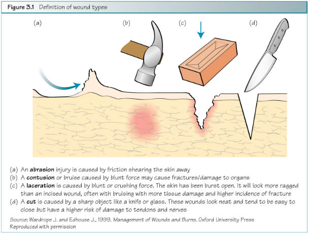Morris: Minor Injury and Minor Illness