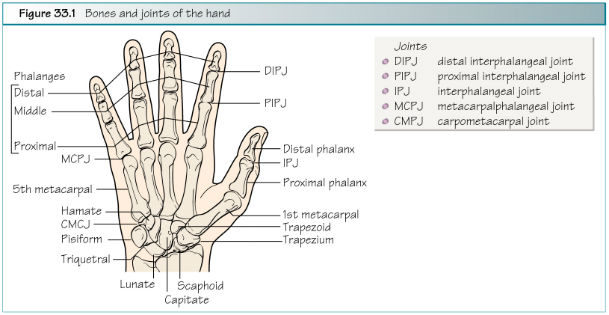 Morris: Minor Injury and Minor Illness