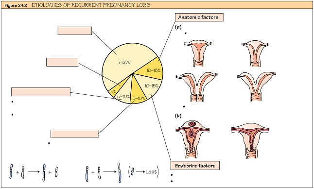 Norwitz: Obstetrics and Gynaecology at a Glance