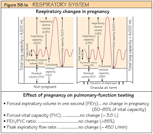 Norwitz: Obstetrics and Gynaecology at a Glance