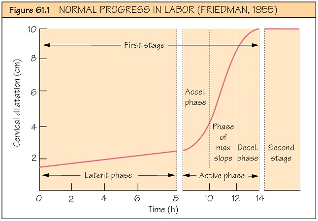 Norwitz: Obstetrics and Gynaecology at a Glance