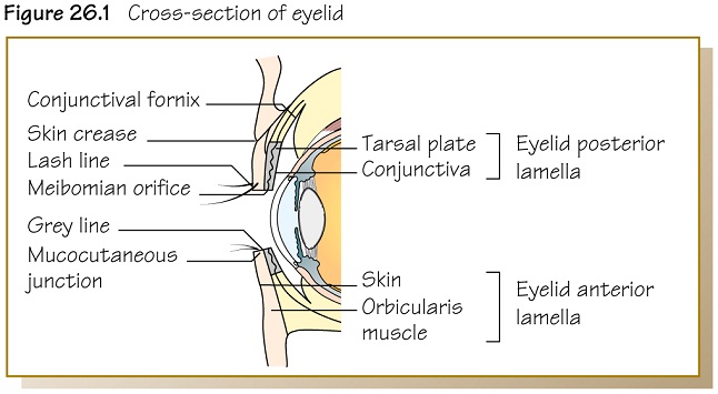 Olver: Ophthalmology at a Glance