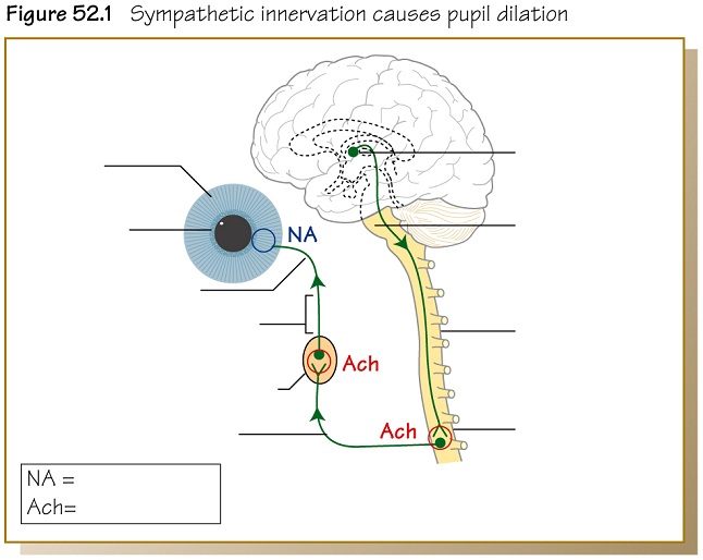 Olver: Ophthalmology at a Glance