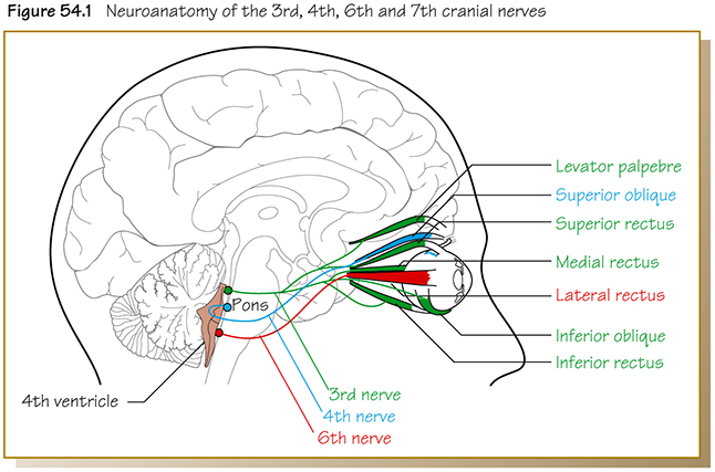 Olver: Ophthalmology at a Glance