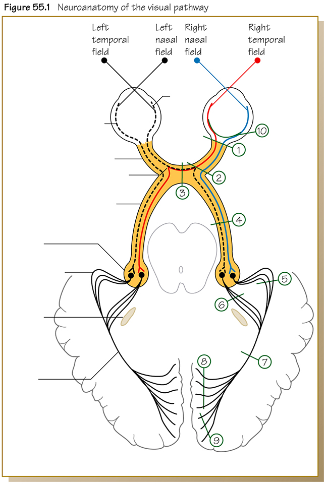 Olver: Ophthalmology at a Glance