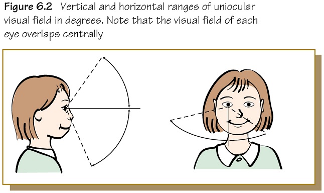 Olver: Ophthalmology at a Glance